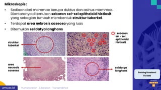 PPT_OVERVIEW_REPRODUKSI 3_FINAL_2025.pdf