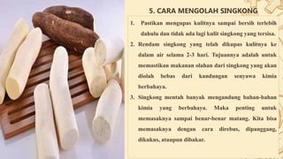 PPT P5 MATERI SINGKONG dan segala macamnya.pptx