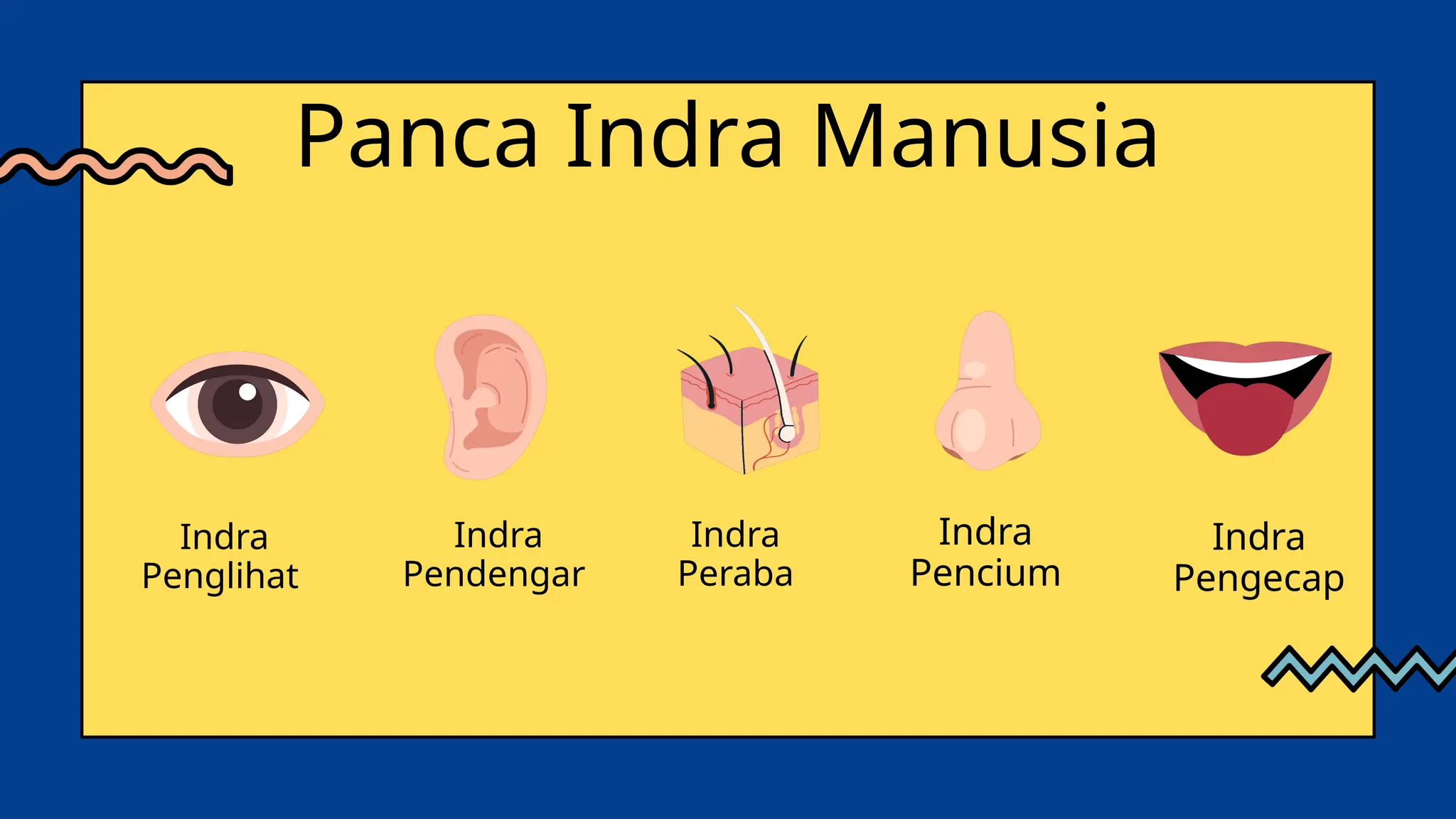 memahami fungsi PANCA INDRA. kipas kelas 3pptx | PPTX