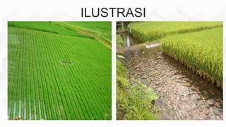 PPT Padi Mina Padi_DUDI iSKANDAR BPP CISAAT.pptx