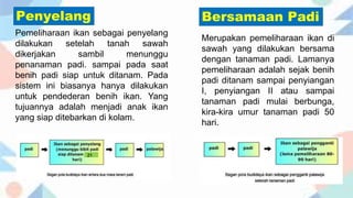 PPT Padi Mina Padi_DUDI iSKANDAR BPP CISAAT.pptx
