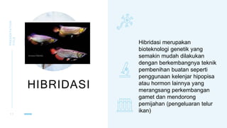 PPT PAKAN SIMBIOTIK UNTUK PERIKANAN.pptx