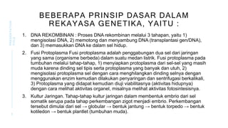 PPT PAKAN SIMBIOTIK UNTUK PERIKANAN.pptx