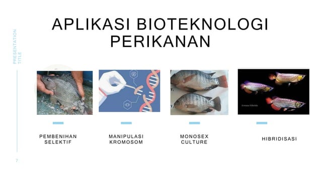 PPT PAKAN SIMBIOTIK UNTUK PERIKANAN.pptx