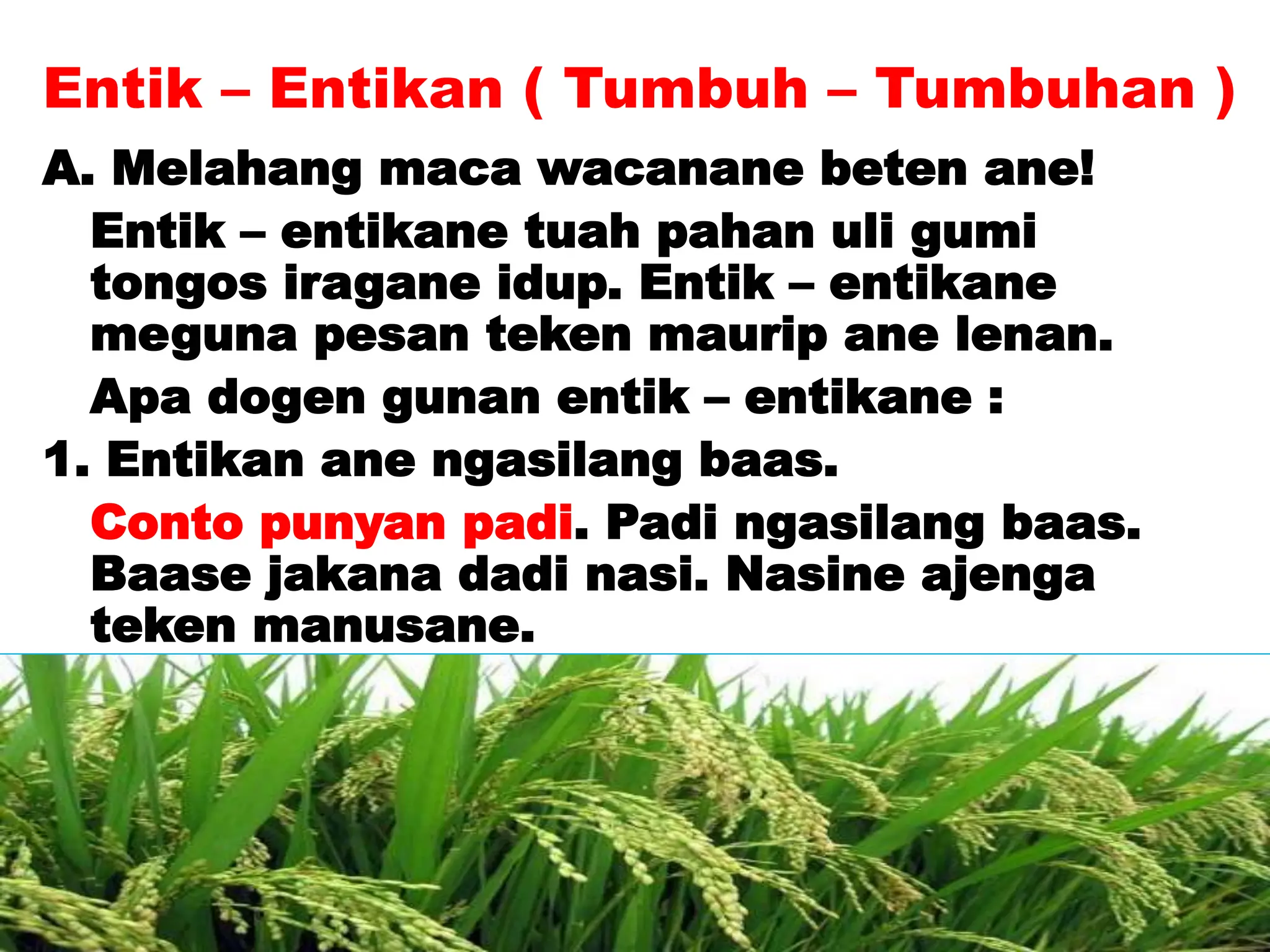 PPT PALAJAHAN 6 BAHASA BALI KELAS 2.pptx