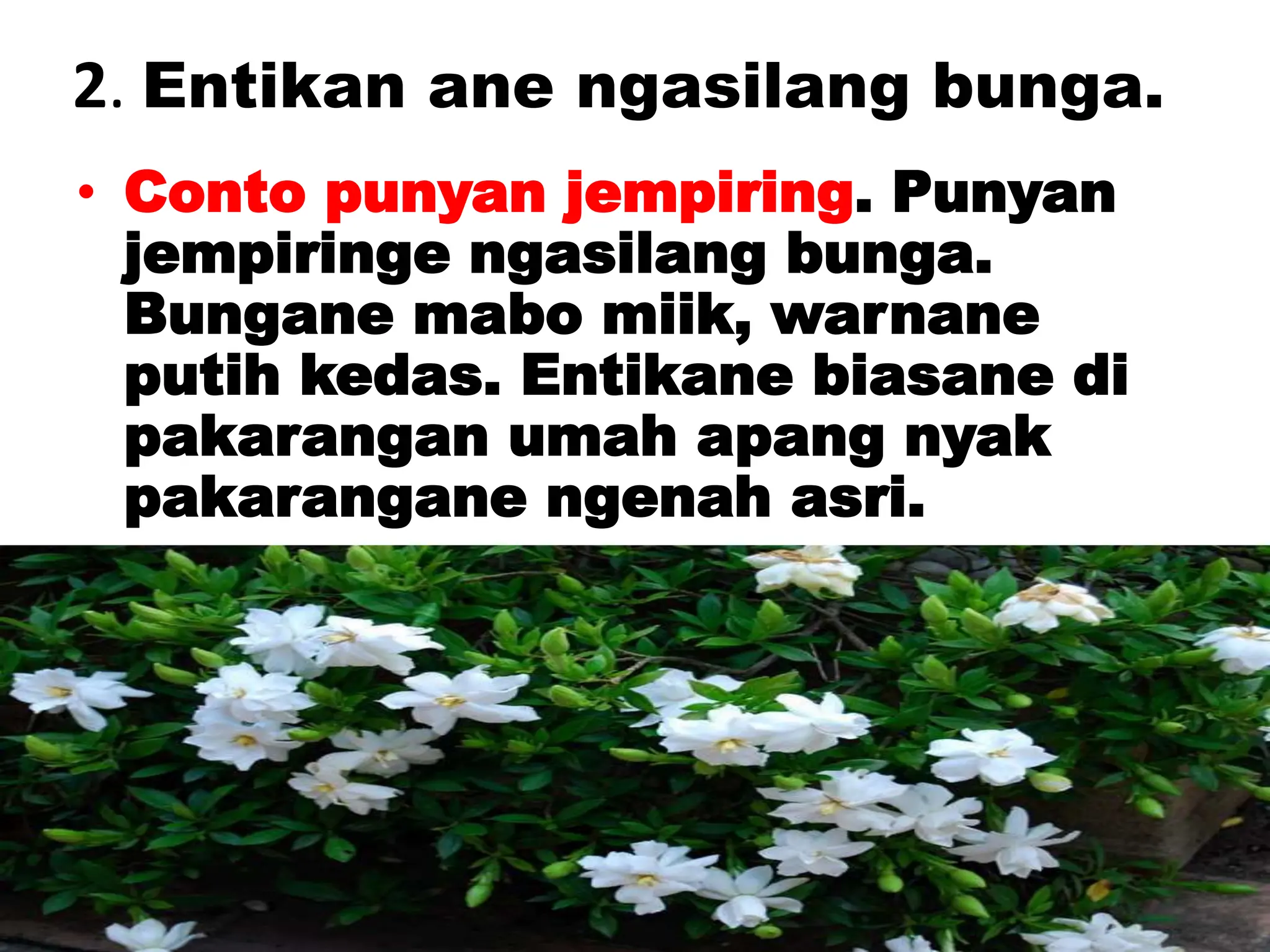 PPT PALAJAHAN 6 BAHASA BALI KELAS 2.pptx