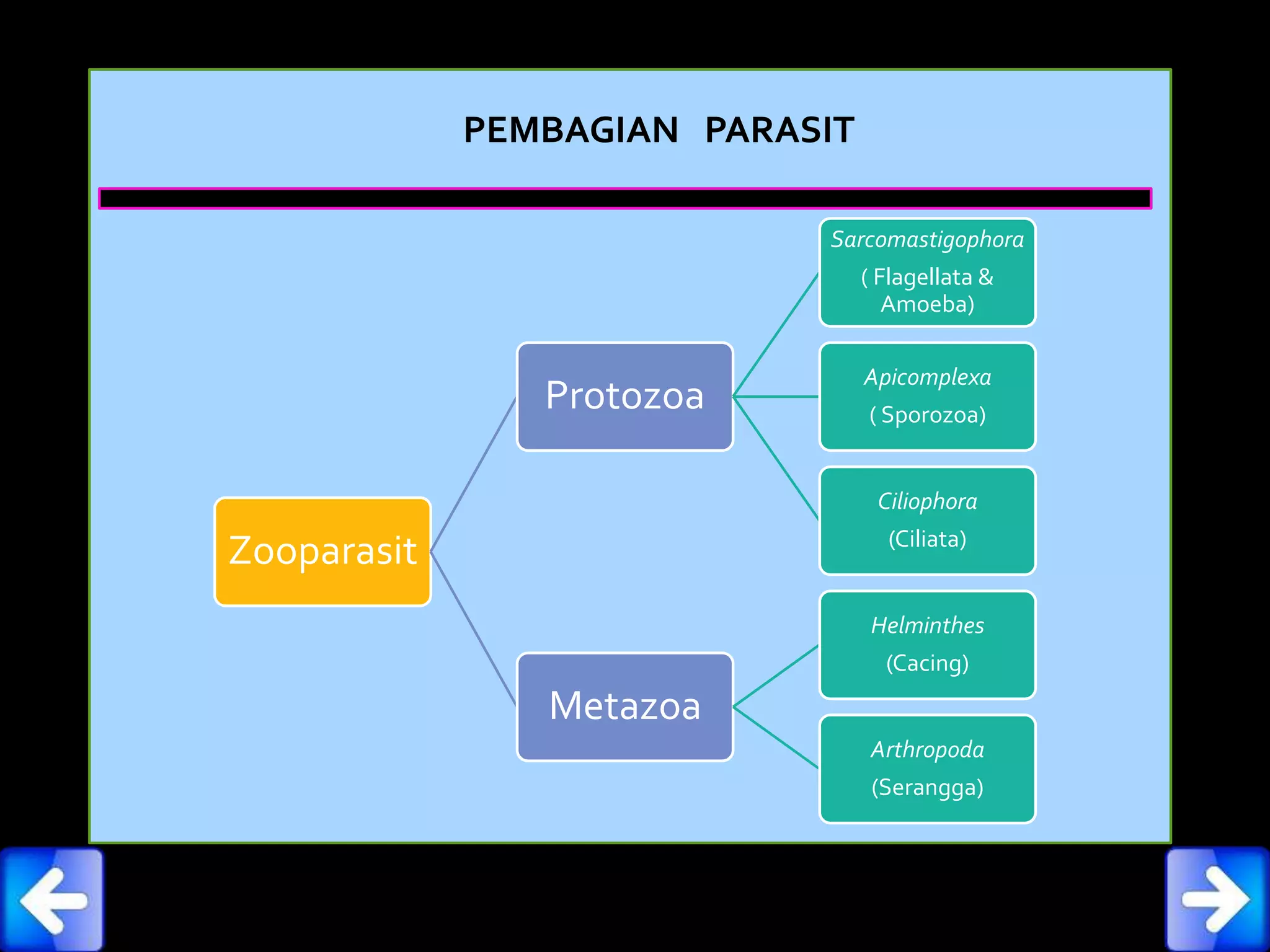 Ppt parasit kelompok iv | PPTX