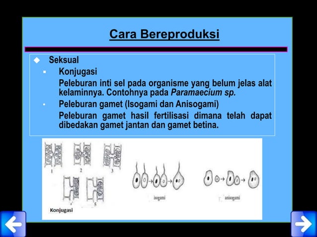 Ppt parasit kelompok iv | PPTX