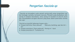 Ppt_parasitologi_kelompok_3_Fasciola_sp.pptx