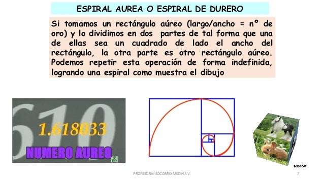 Calcular El Numero De Oro | Calculadora del número áureo – PZWK