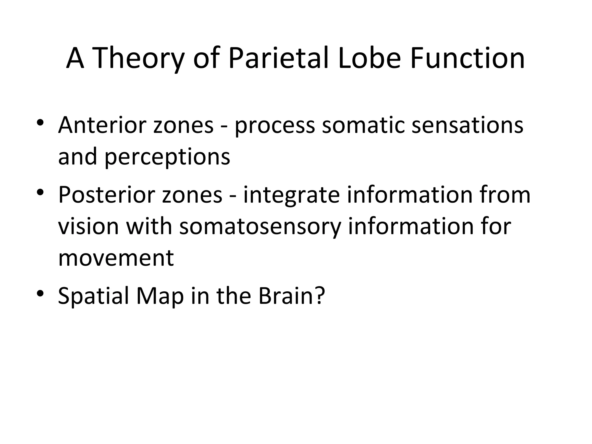 Ppt parietal lobe | PPT | Brain and Nervous System Disorders | Diseases and Conditions
