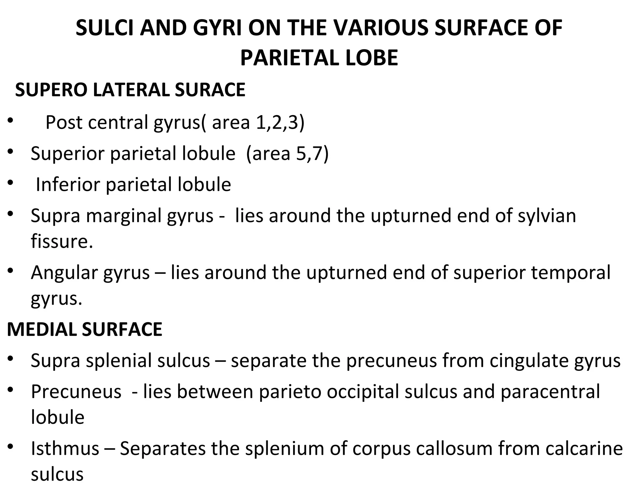 Ppt parietal lobe | PPT
