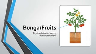 ppt parts of a plants.pptx