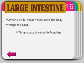 Excretory System | PPT | Lung and Respiratory Health | Diseases and ...