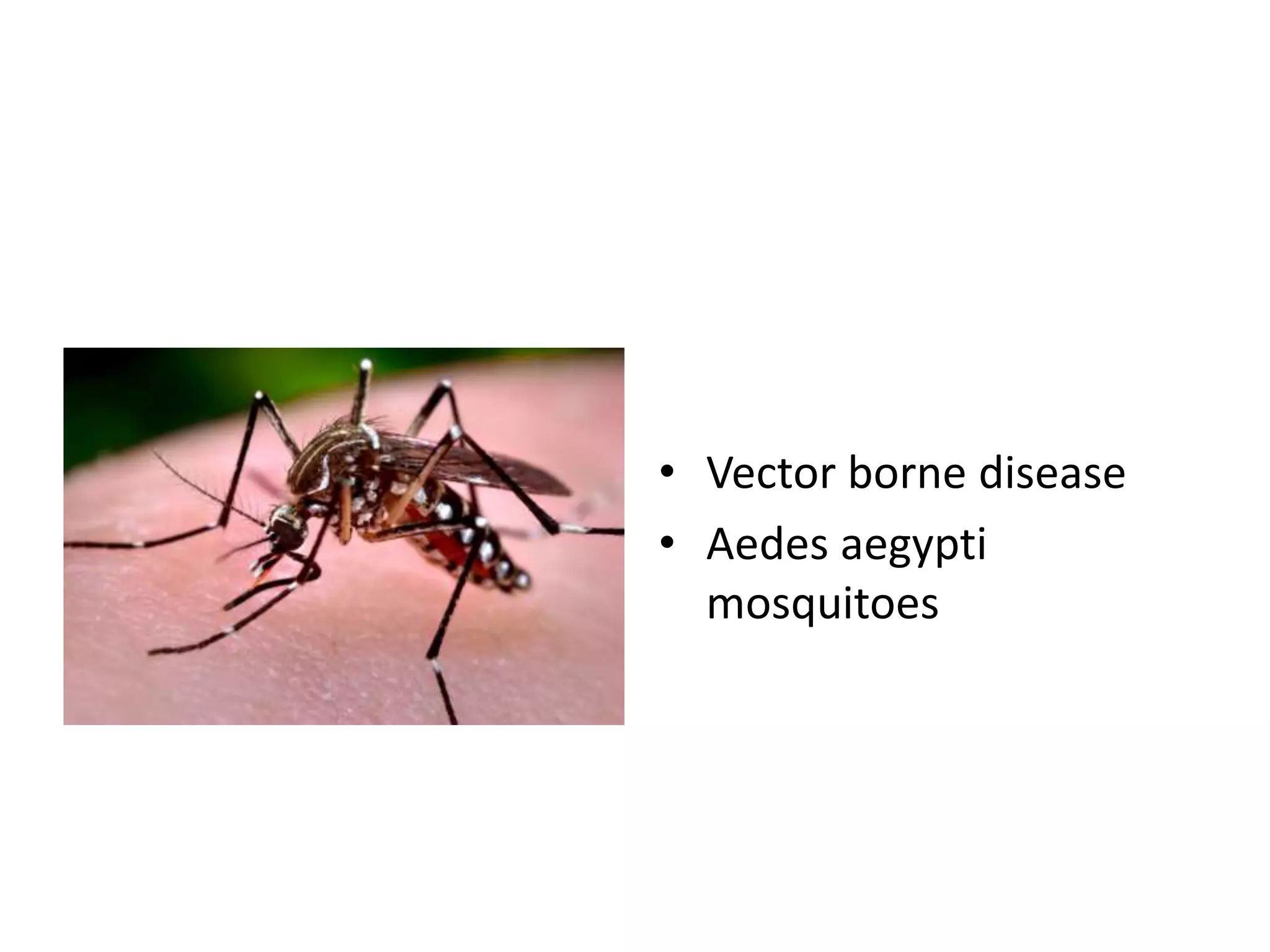 pathophysiology of bleeding in dengue virus infection | PPTX