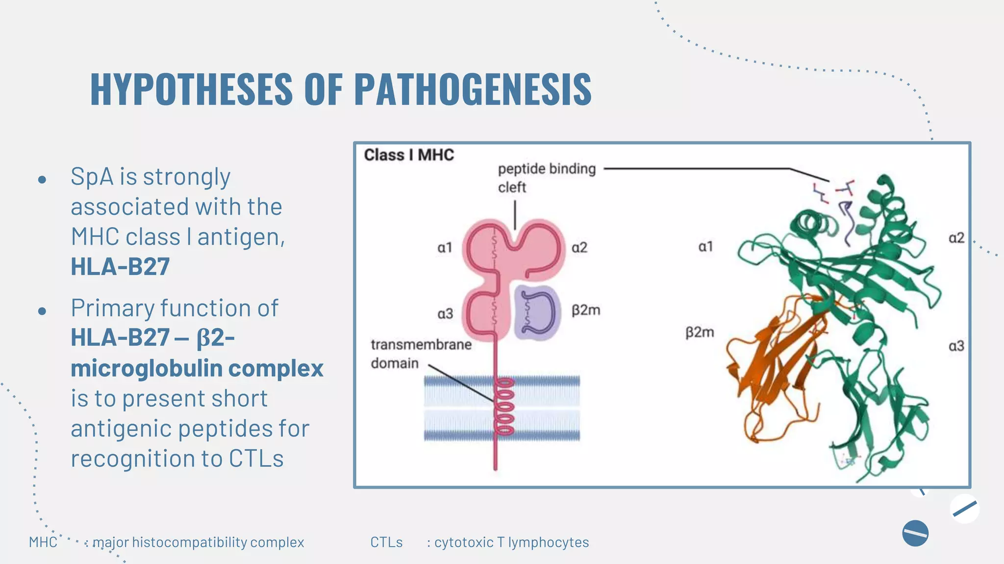 ABNORMALITAS TULANG PADA SPONDYLOARTHRITIS.pptx | Bone and Joint ...