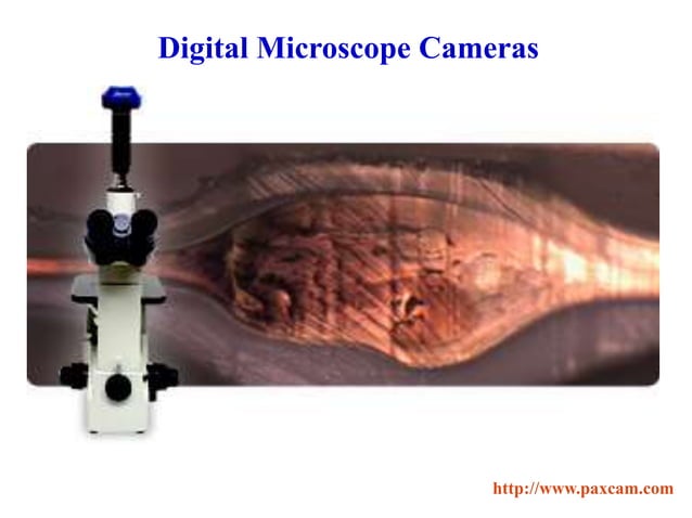 Microscopic Cameras | PPT