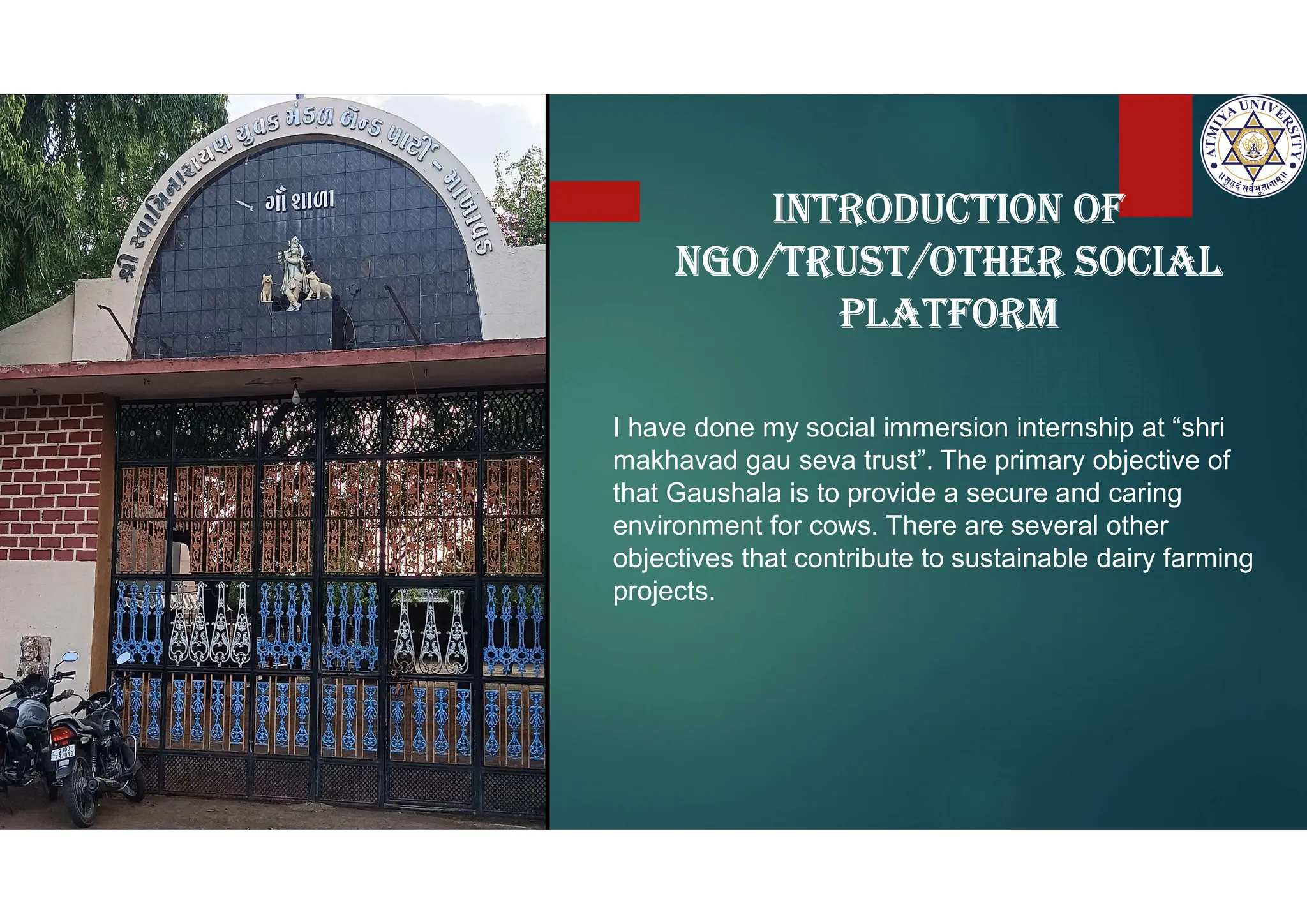 ppt pdf social immersion.pdf