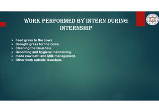 ppt pdf social immersion.pdf