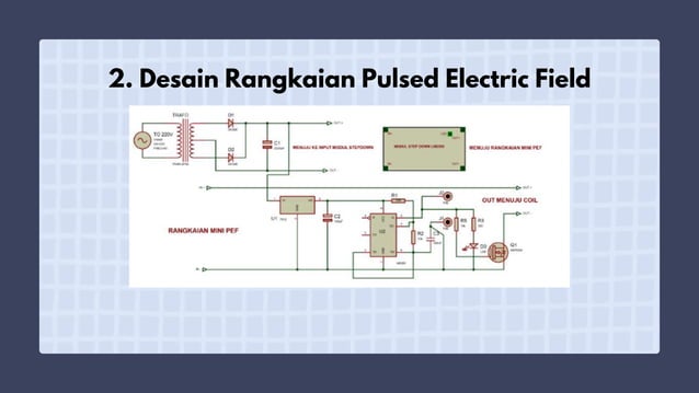 POWER POINT PULSED ELECTRIC FIELD (PEF).pptx