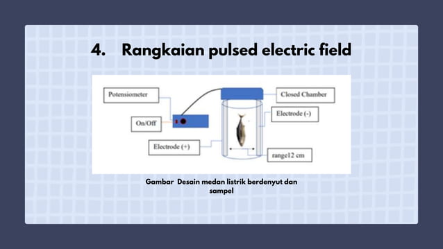 POWER POINT PULSED ELECTRIC FIELD (PEF).pptx