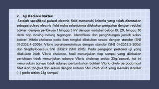 POWER POINT PULSED ELECTRIC FIELD (PEF).pptx