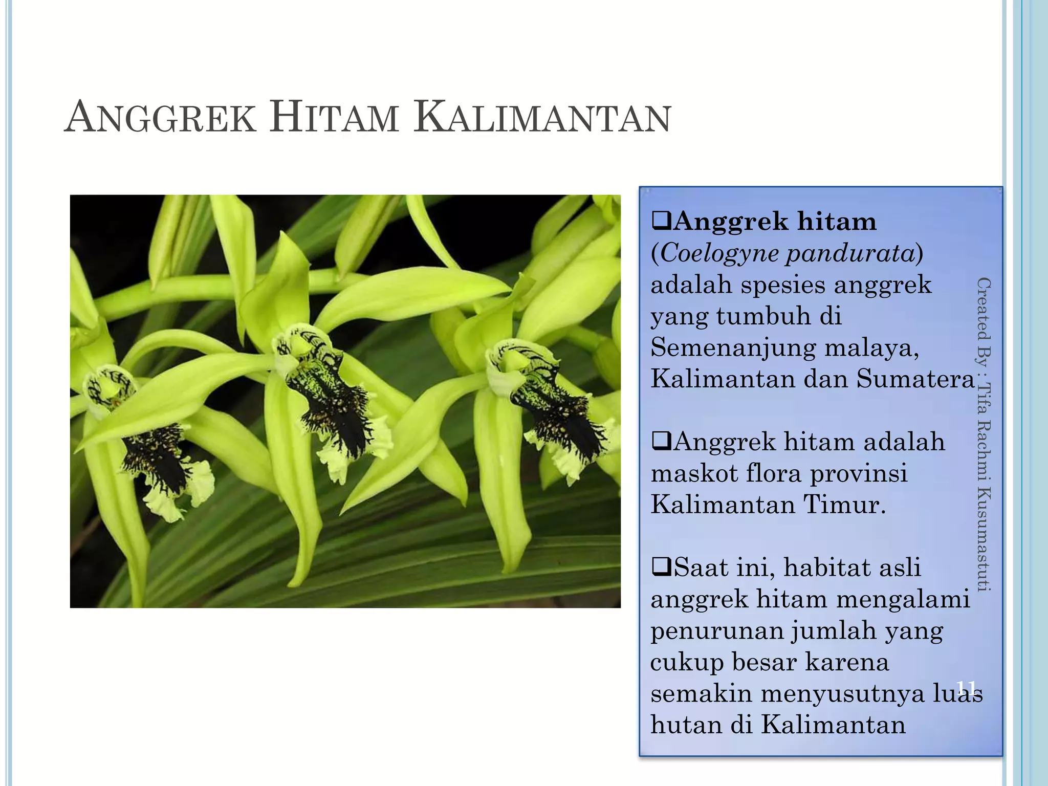 Ppt pelestarian makhluk hidup dan lingkungan kelas 7 | PDF Ppt pelestarian makhluk hidup dan lingkungan kelas 7 | PDF