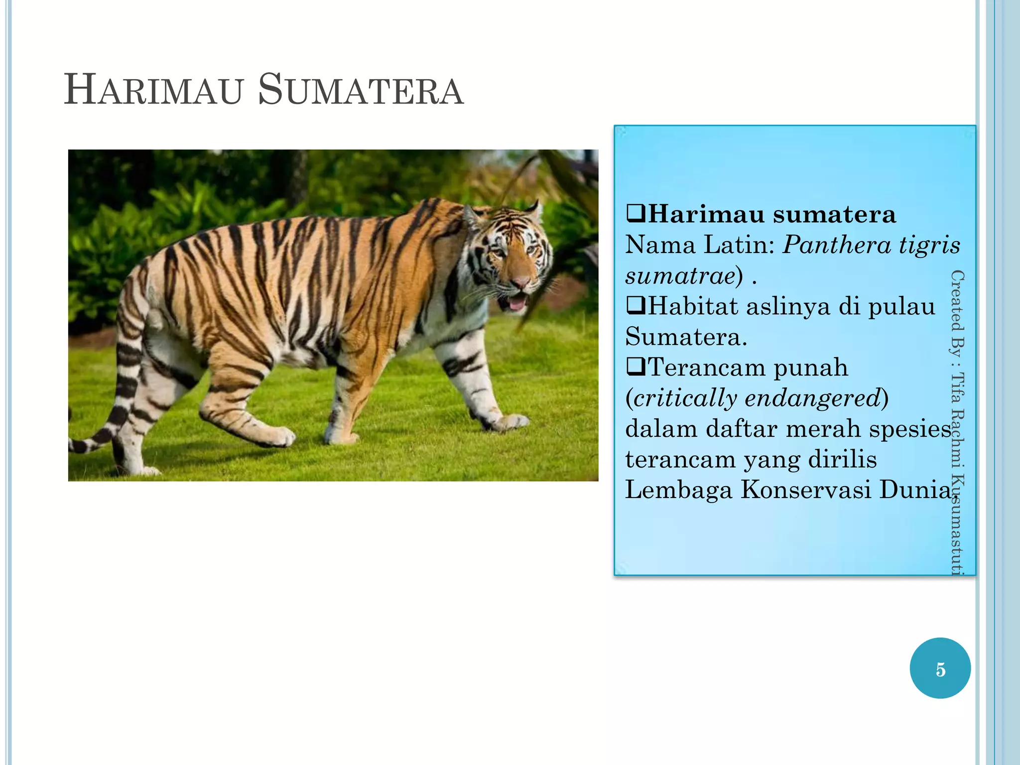 Ppt pelestarian makhluk hidup dan lingkungan kelas 7 | PDF Ppt pelestarian makhluk hidup dan lingkungan kelas 7 | PDF