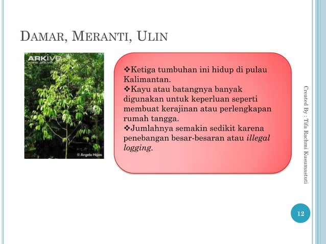Ppt pelestarian makhluk hidup dan lingkungan kelas 7 | PDF Ppt pelestarian makhluk hidup dan lingkungan kelas 7 | PDF