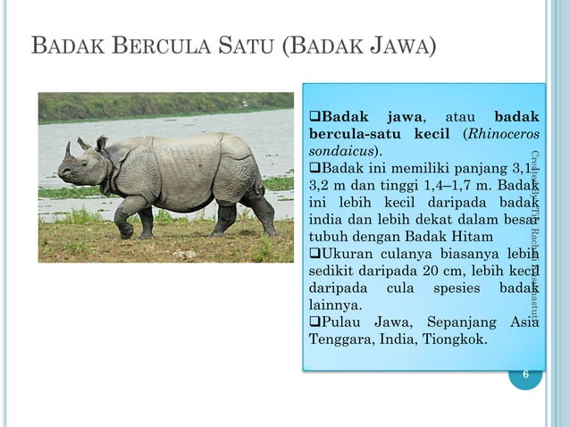 Ppt pelestarian makhluk hidup dan lingkungan kelas 7 | PDF Ppt pelestarian makhluk hidup dan lingkungan kelas 7 | PDF