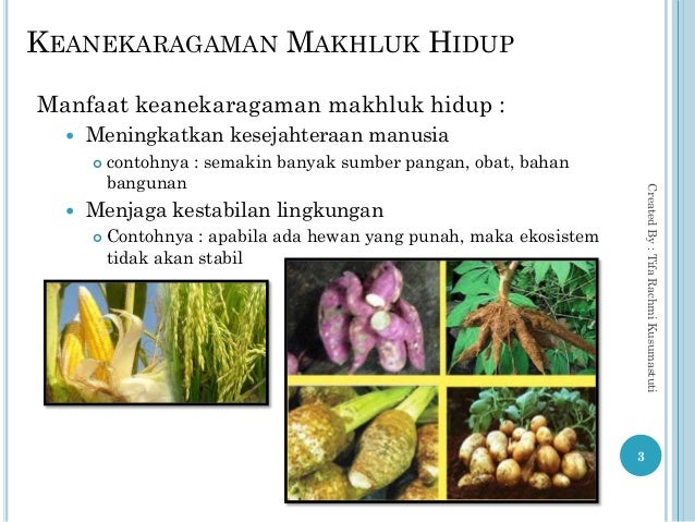 Ppt pelestarian makhluk hidup dan lingkungan kelas 7 Ppt pelestarian makhluk hidup dan lingkungan kelas 7
