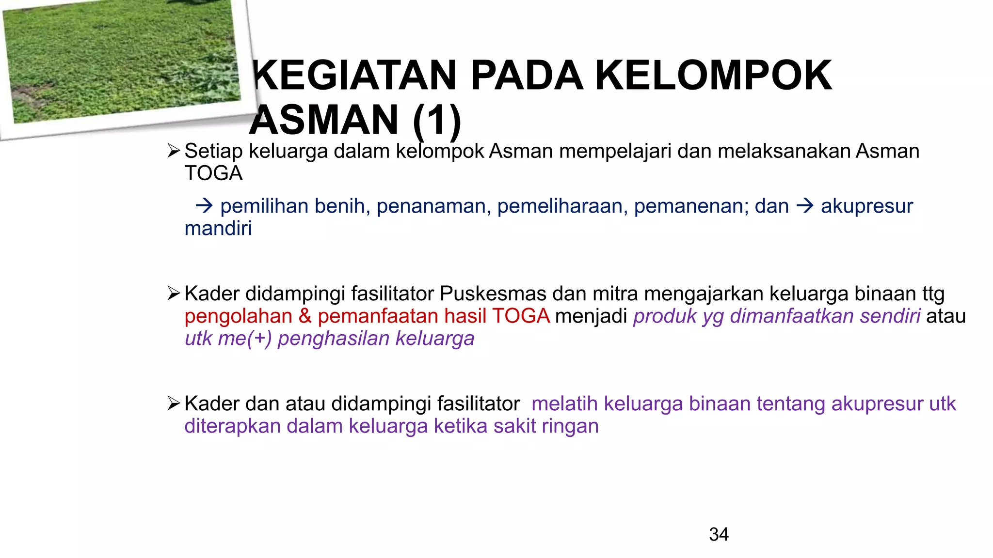 PPT Pemanfaatan TOGA.pptx