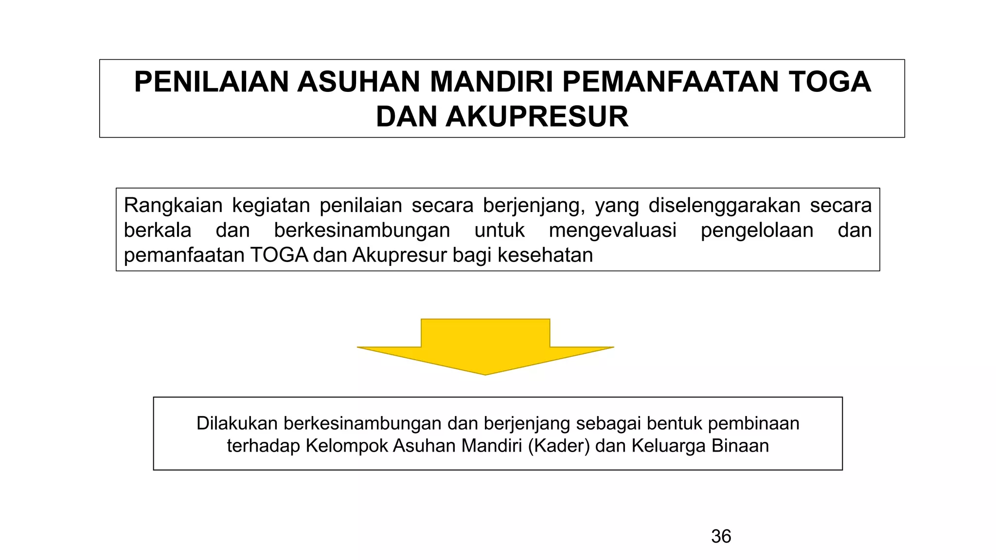 PPT Pemanfaatan TOGA.pptx