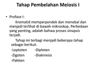 PPT PEMBELAHAN MEIOSIS.pptx
