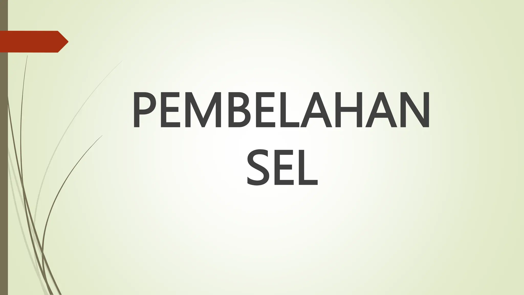 PPT PEMBELAHAN SEL, BAGIAN-BAGIAN DAN TAHAP-TAHAPANNYA BESERTA ...