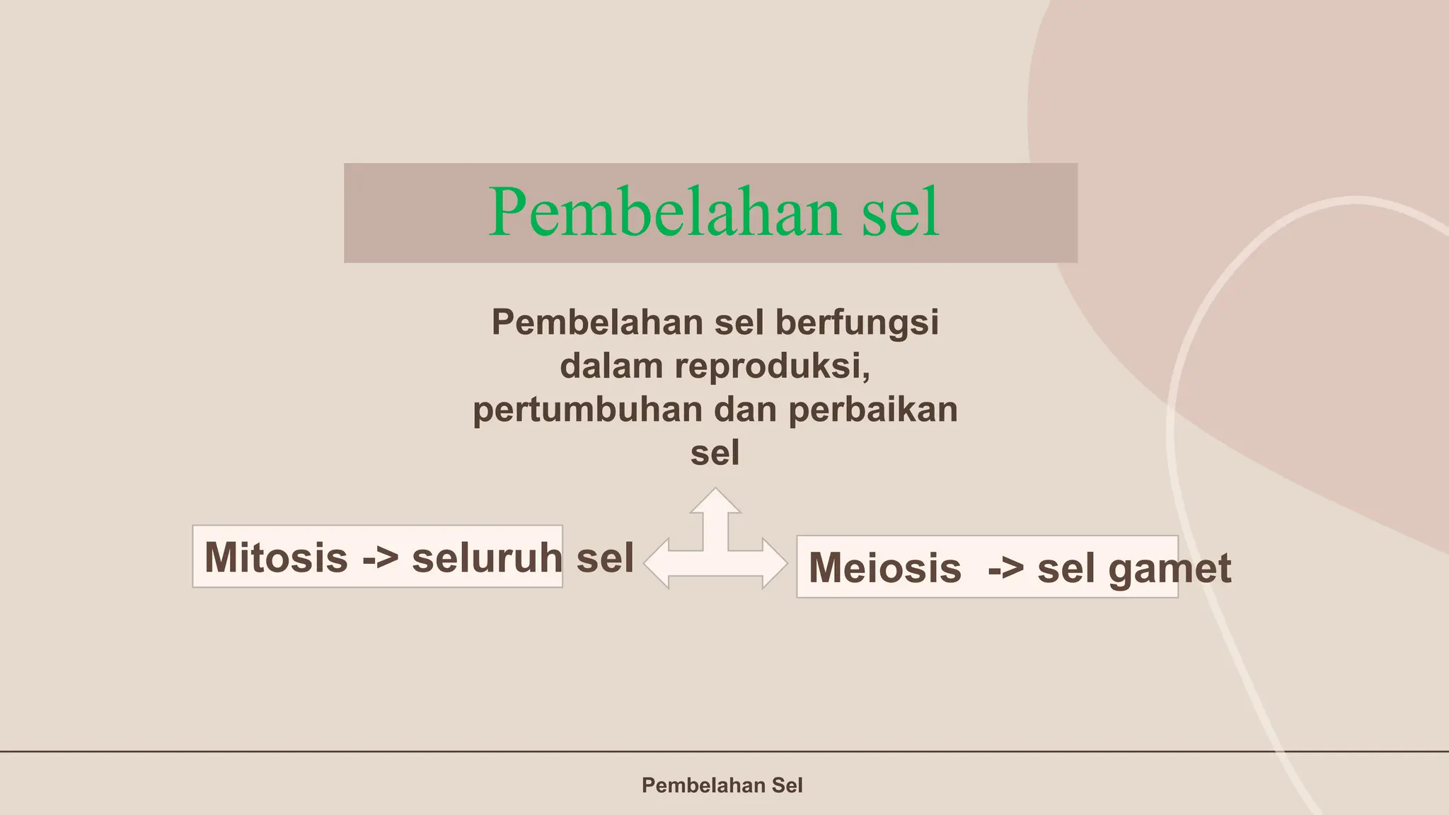 materi biologi tentang pembelahan sel kelas XI | PPT