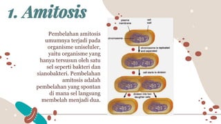 materi biologi tentang pembelahan sel kelas XI | PPT