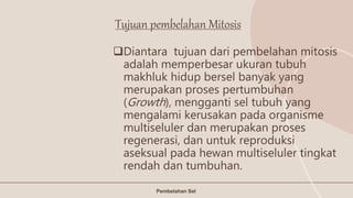 materi biologi tentang pembelahan sel kelas XI | PPT