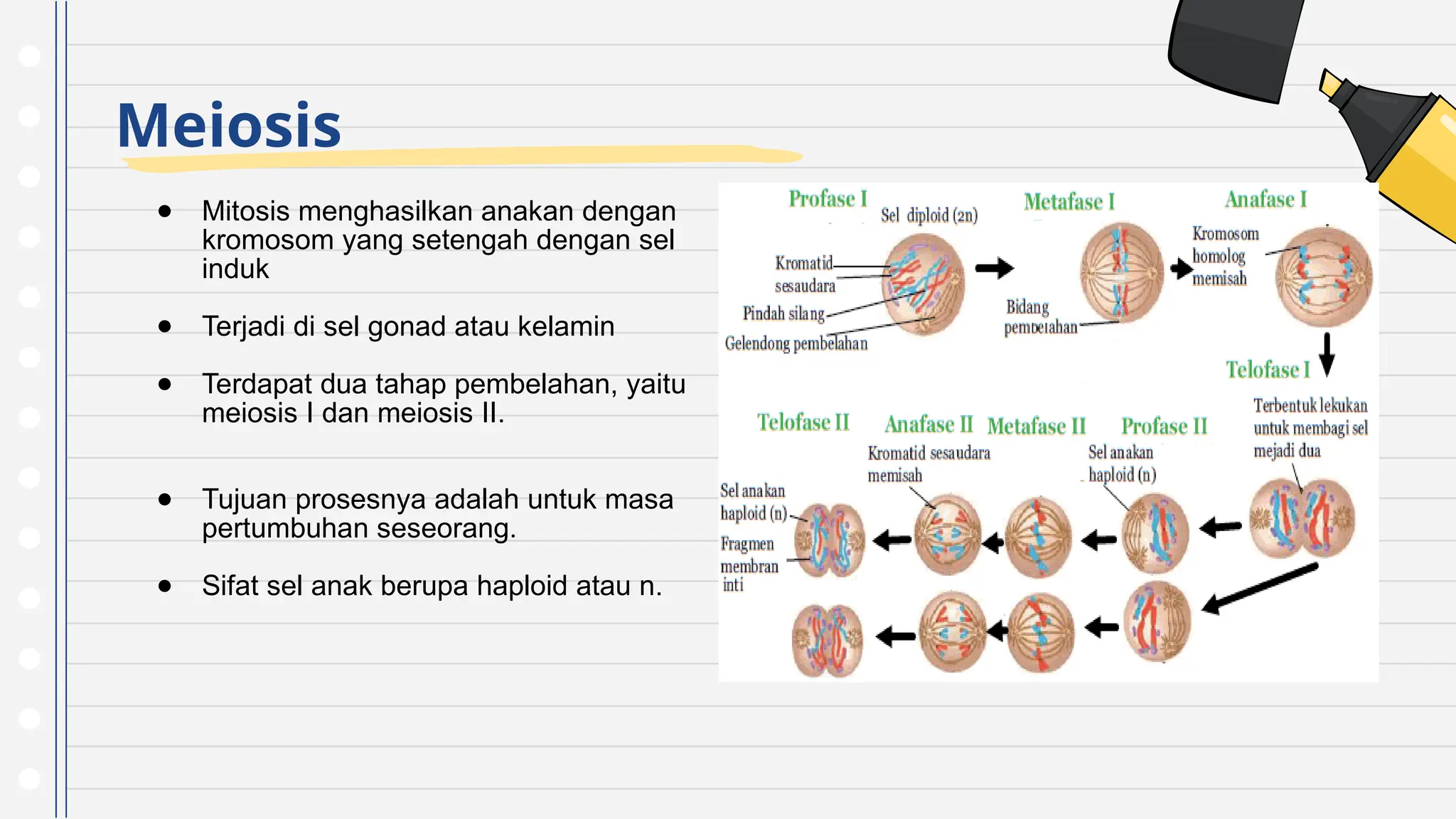 PPT pembelahan Sel Mitosis dan meiosis.pptx