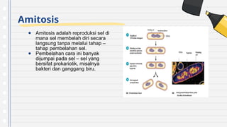 PPT pembelahan Sel Mitosis dan meiosis.pptx