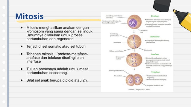 Ppt Pembelahan Sel Mitosis Dan Meiosis Pptx