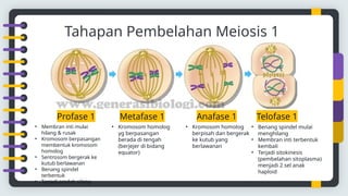 PPT PEMBELAHAN SEL & SISTEM REPRODUKSI.pptx