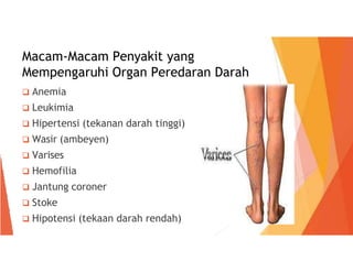 PPT PEMBELAJARAN (1).pptx