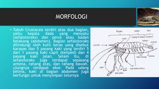 Power point pembenihan udang galah | PPTX