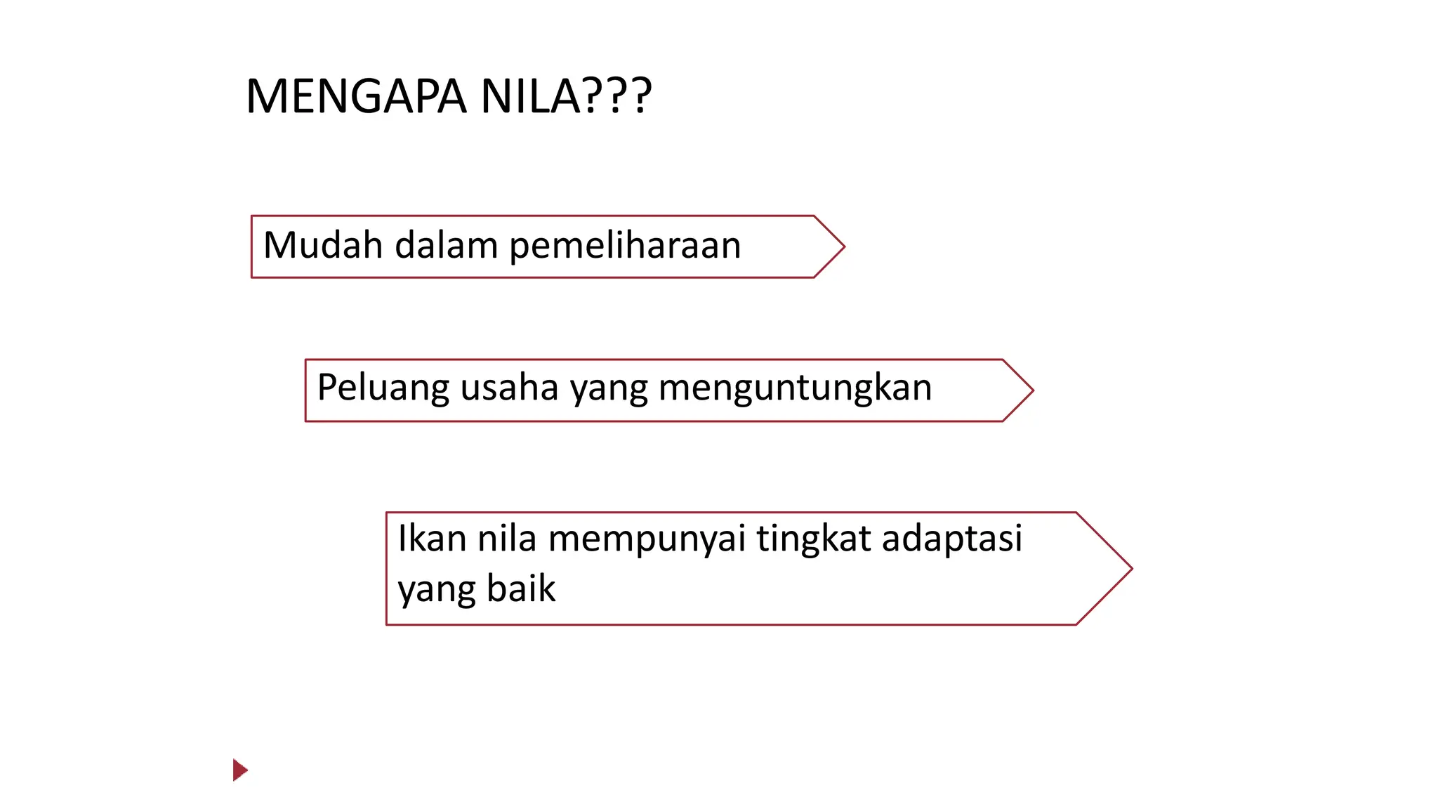 Teknik Pembesaran Nila Merah Nilasa di Balai PTPB DIY | PPTX