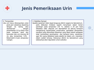 PPT PEMERIKSAAN URIN MANUSIA UNTUK KESEHATAN.pptx