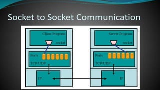 Ppt Pemograman Jaringan Pptx