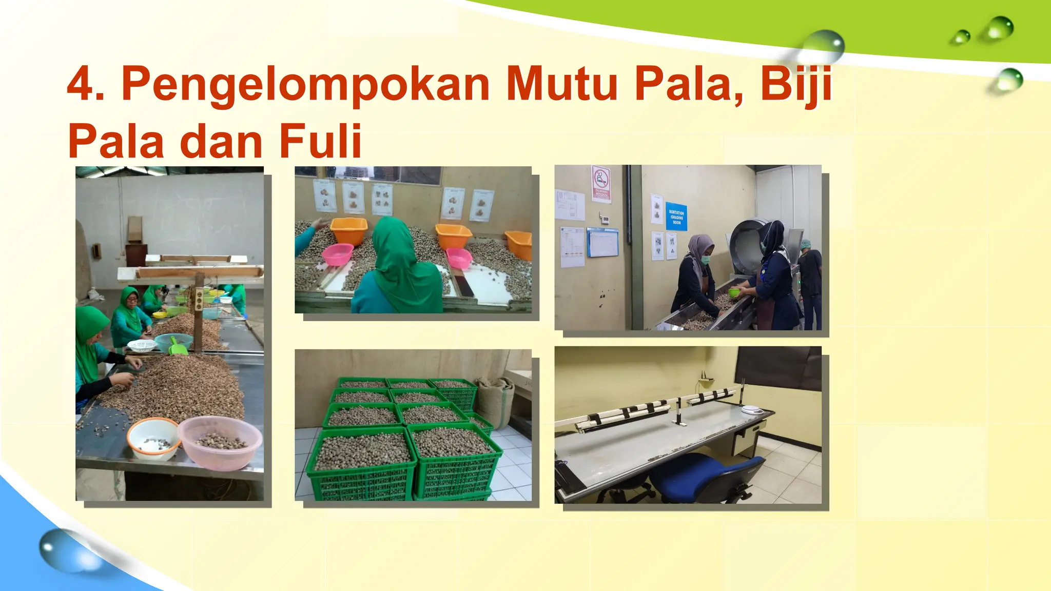 Presentasi Penangangan Pala BSIP 09072024 | PPT