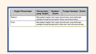 PPT Pencernaan Mekanis Kimiawi Hesti.pptx
