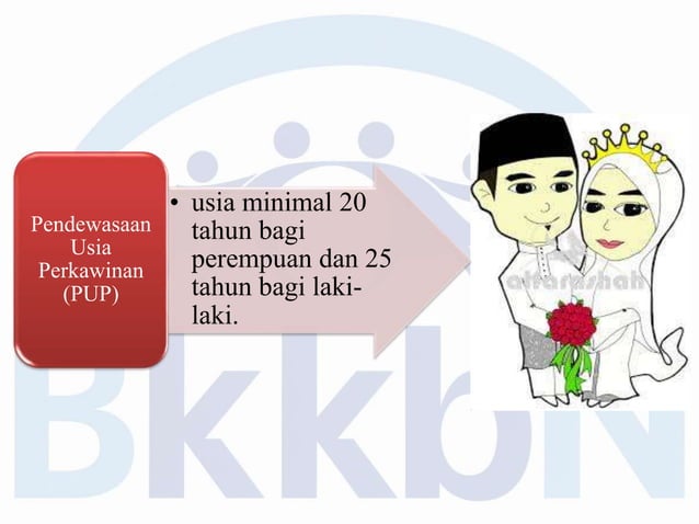 PPT PENELITIAN PERNIKAHAN DINI.pptx